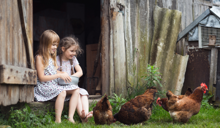 9 Ways to Keep Chickens From Leaving Your Yard - The Hip Chick