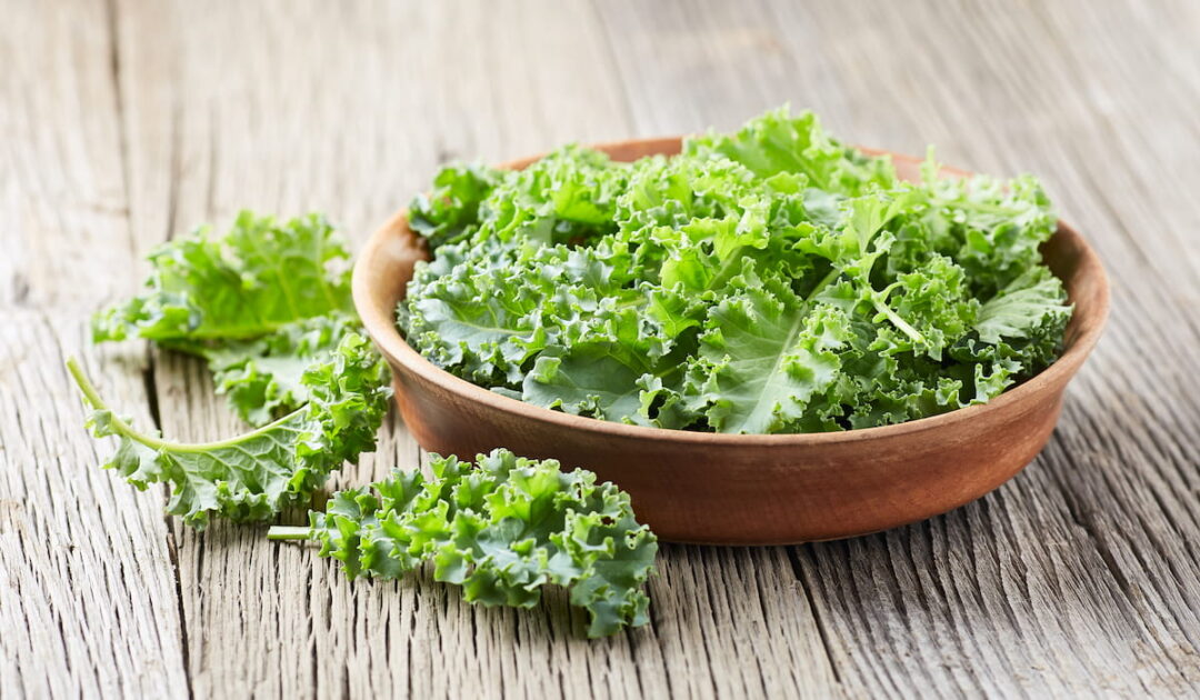 13 Healthy Snacks for Ducks - The Hip Chick